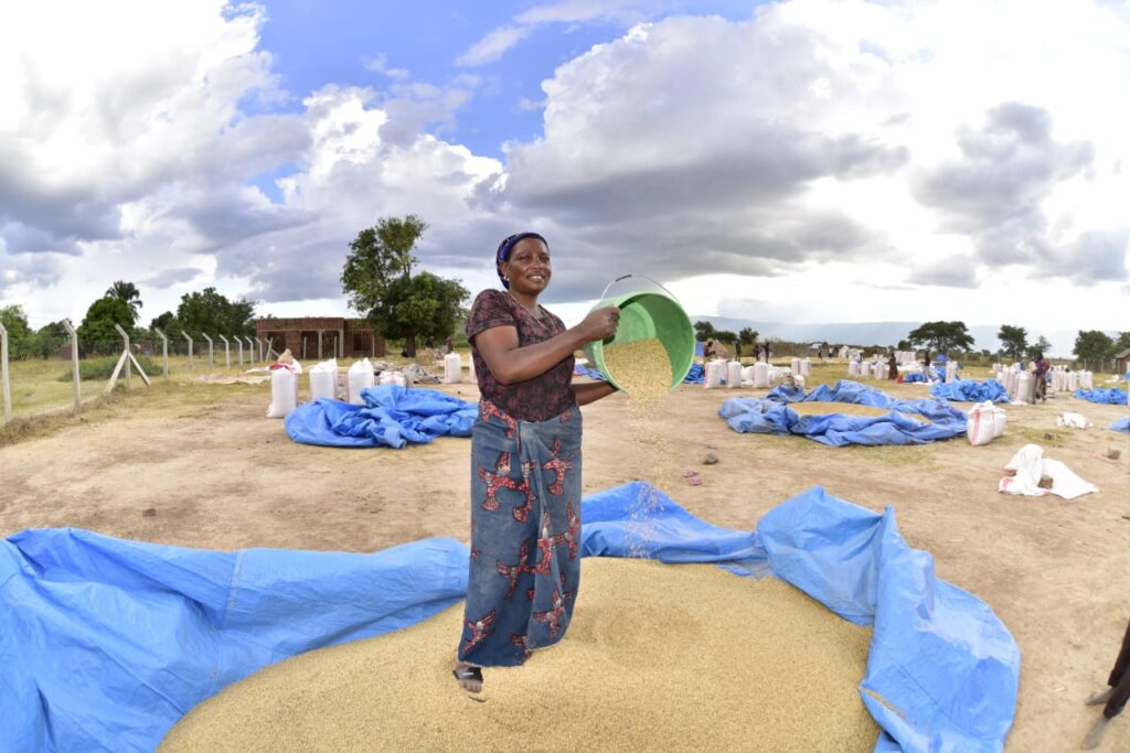 Innovative Approach to Agriculture: TechnoServe Champions Regenerative ...