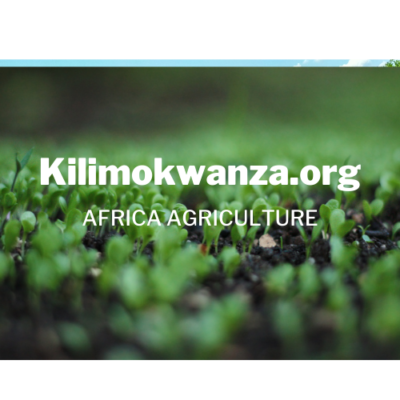 Bean Farming: A Simple and Highly Profitable Venture in East Africa ...