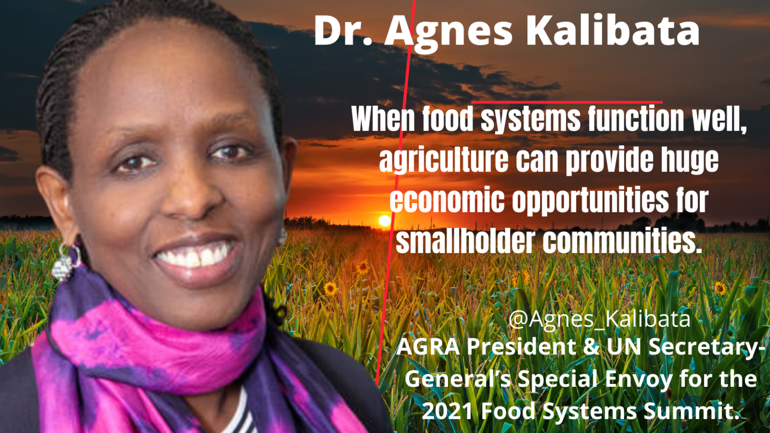 10 Powerful Agriculture Quotes From Dr Agnes Kalibata – Kilimo Kwanza