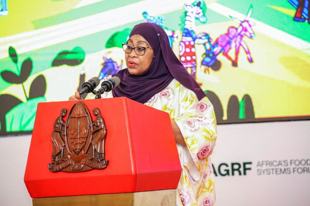 President Samia Suluhu Hassan Paves the Way for a Resilient and ...