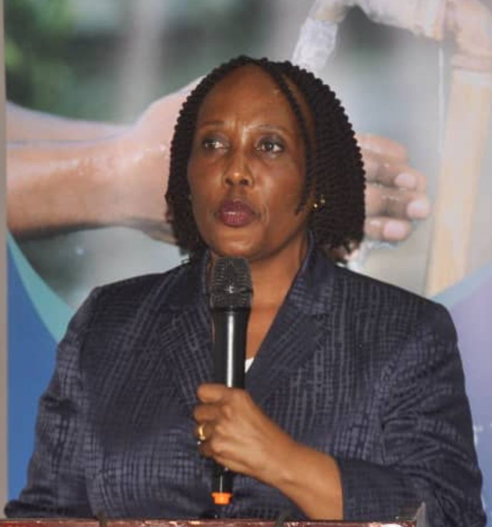 TAMFI’s Microfinance Initiative Empowers Tanzania’s Renewable Energy ...