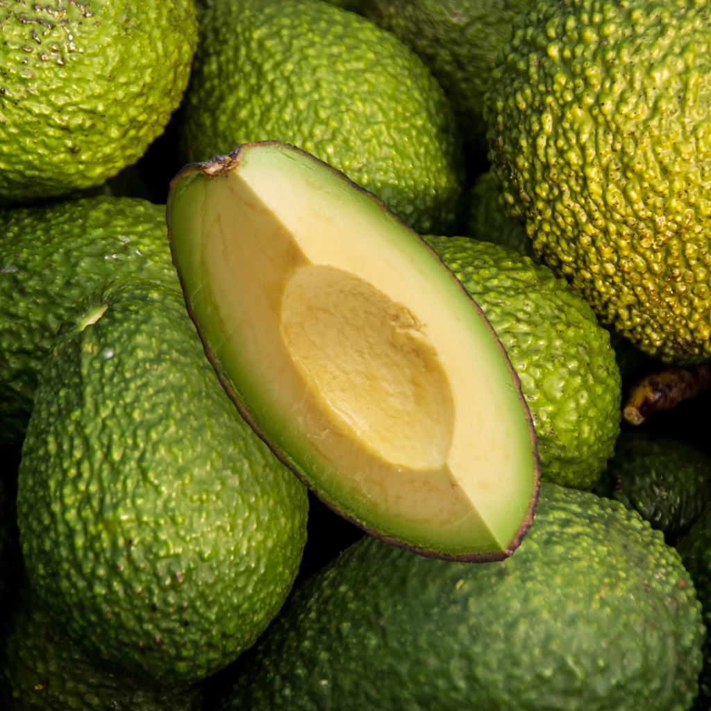 The Green Gold of Kibondo: Amoni Mtimba’s Revolutionary Avocado Farming ...