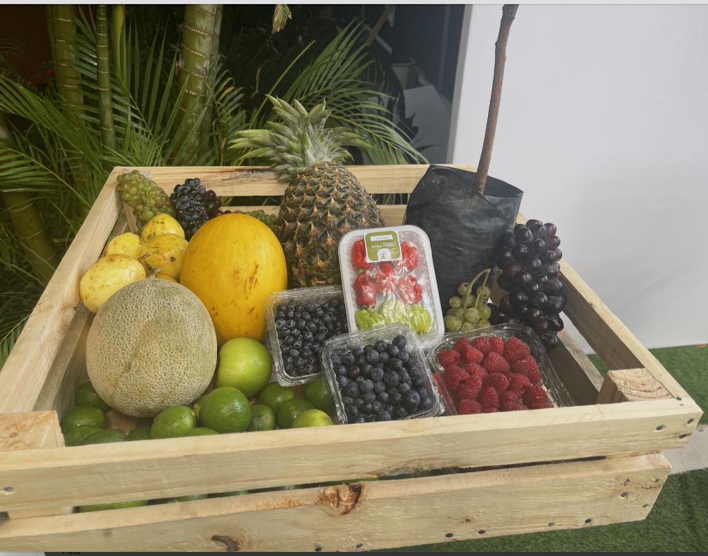 The $2 Billion Bet: Inside Tanzania’s High-Stakes Plan to Dominate African Horticulture – Kilimo ...